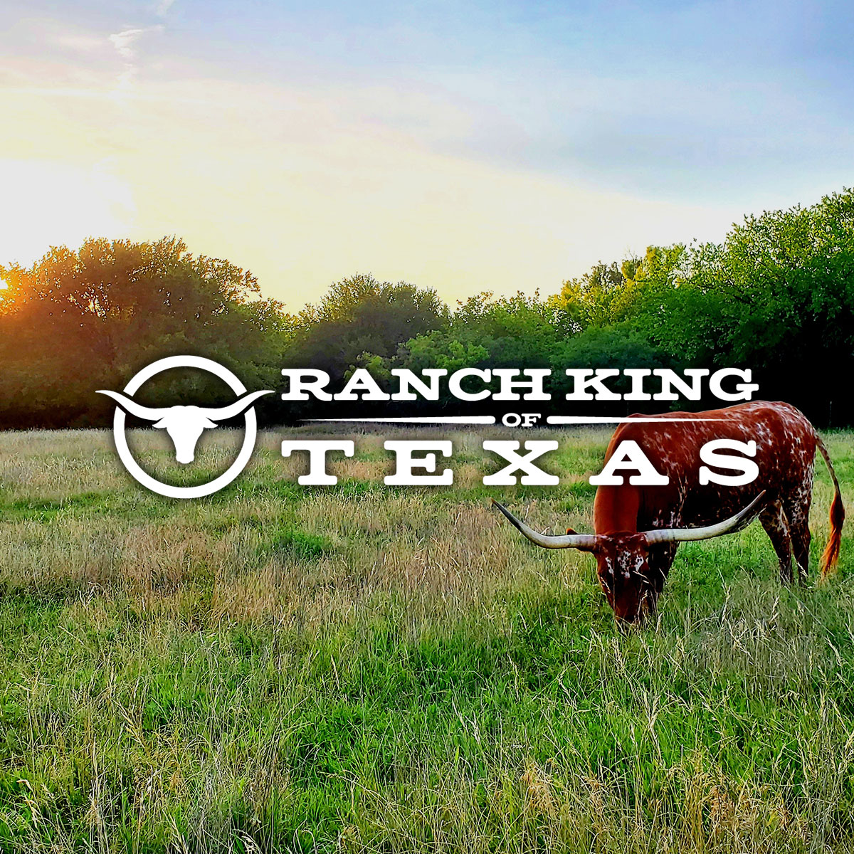 Ranches For Sale Ranch King Of Texas Texas Hill Country West Texas